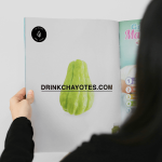 RCBalance | Check ReadyCard Balance & Manage Cards Online